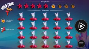 Wild Time Deluxe - Play Michigan Lottery